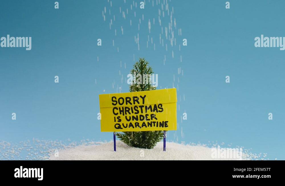 Sorry tree Stock Videos & Footage - HD and 4K Video Clips - Alamy