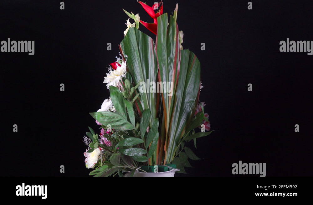 Dead flower arrangement Stock Videos & Footage - HD and 4K Video Clips ...