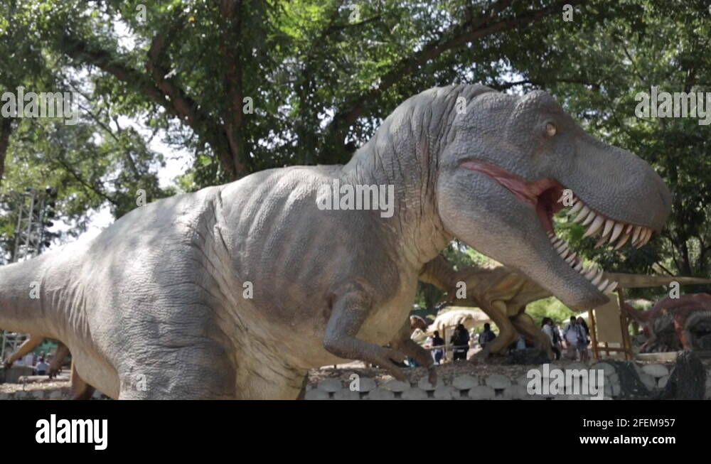 Evolution of birds dinosaur Stock Videos & Footage - HD and 4K Video ...