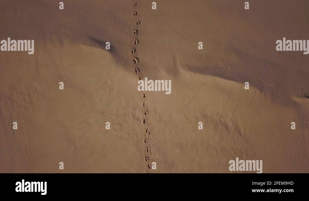 Footprints in sand track Stock Videos & Footage - HD and 4K Video Clips ...