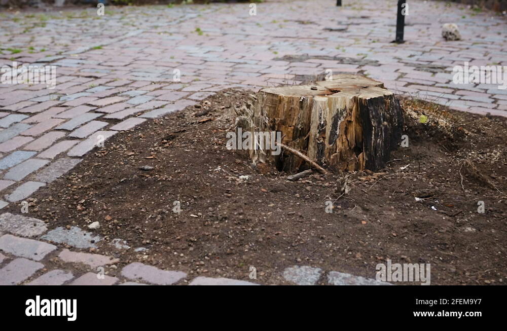 Centre of storm Stock Videos & Footage - HD and 4K Video Clips - Alamy