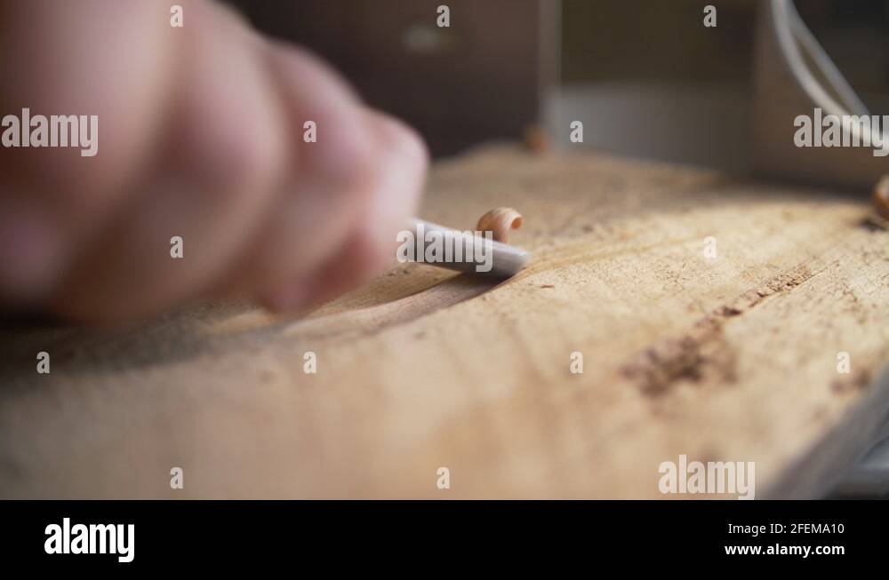 Hands carving Stock Videos & Footage - HD and 4K Video Clips - Alamy