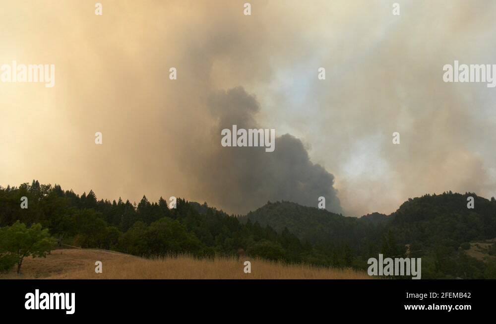 Smoke plume Stock Videos & Footage - HD and 4K Video Clips - Alamy