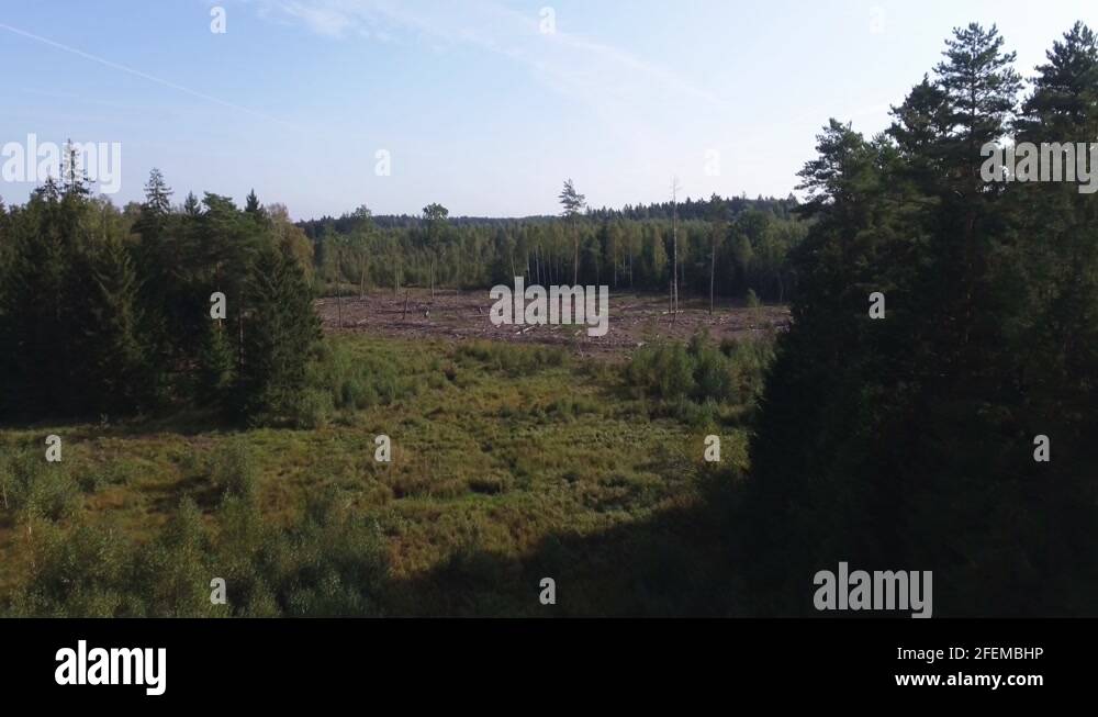 Low cut tops Stock Videos & Footage - HD and 4K Video Clips - Alamy