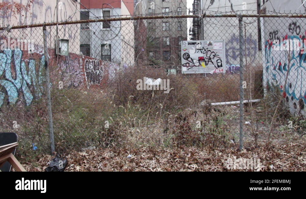 Gentrification graffiti Stock Videos & Footage - HD and 4K Video Clips ...