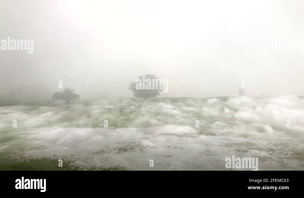Ancient british tree landscape Stock Videos & Footage - HD and 4K Video ...