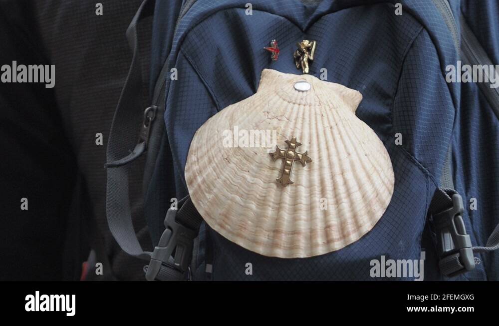 Santiago compostela shell Stock Videos & Footage - HD and 4K Video ...