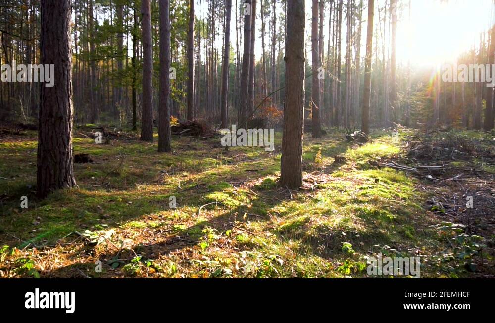 Ground scenery Stock Videos & Footage - HD and 4K Video Clips - Alamy