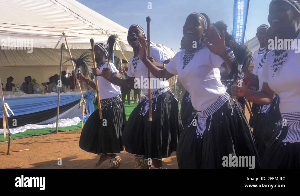 Dance from africa Stock Videos & Footage - HD and 4K Video Clips - Alamy