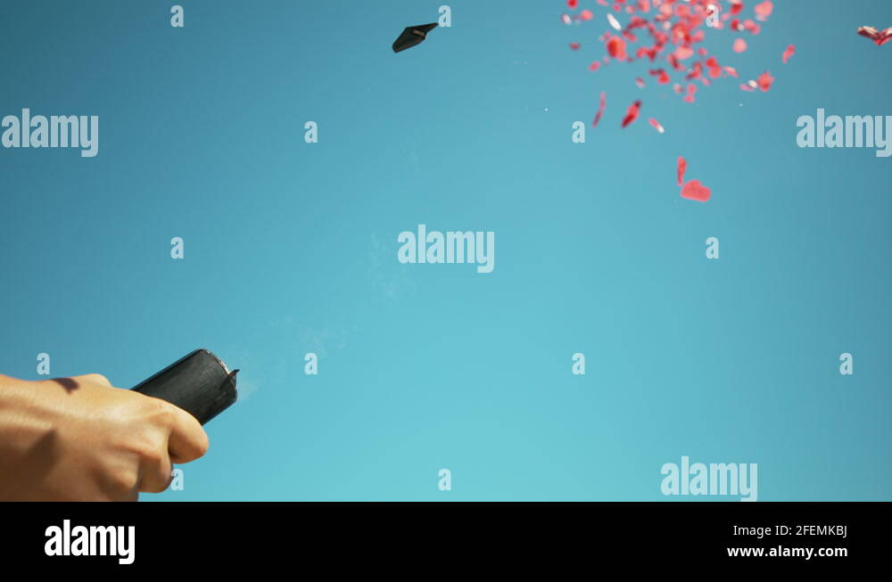 Flower gun barrel Stock Videos & Footage - HD and 4K Video Clips - Alamy