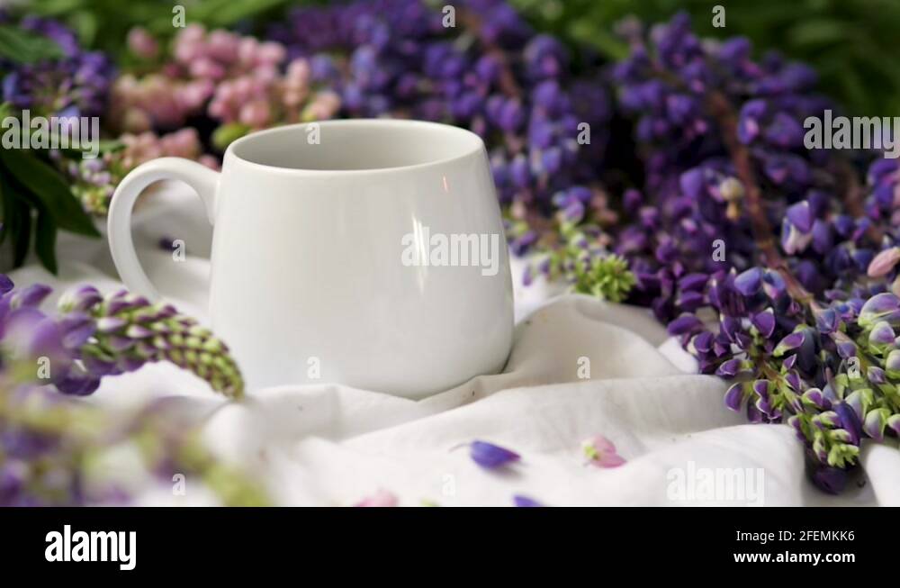 Tea spring flowers flatlay Stock Videos & Footage - HD and 4K Video ...