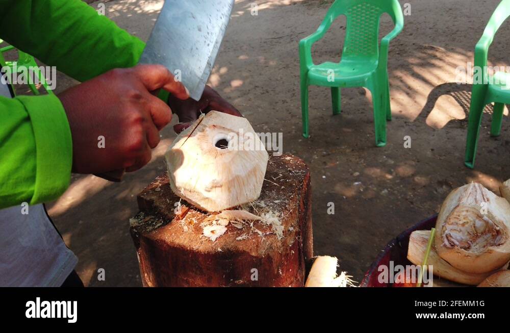Cleaning coconut Stock Videos & Footage - HD and 4K Video Clips - Alamy