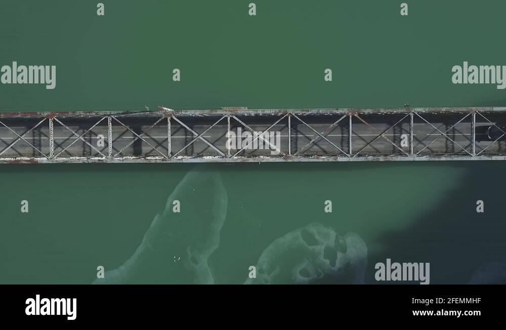 Vertical birds Stock Videos & Footage - HD and 4K Video Clips - Alamy