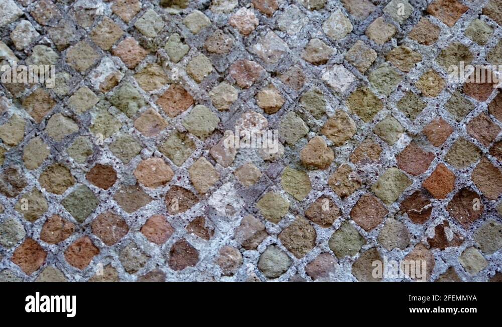 Opus reticulatum Stock Videos & Footage - HD and 4K Video Clips - Alamy