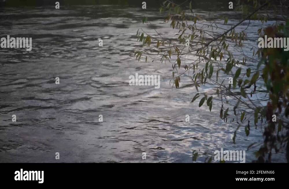 Video of water Stock Videos & Footage - HD and 4K Video Clips - Alamy
