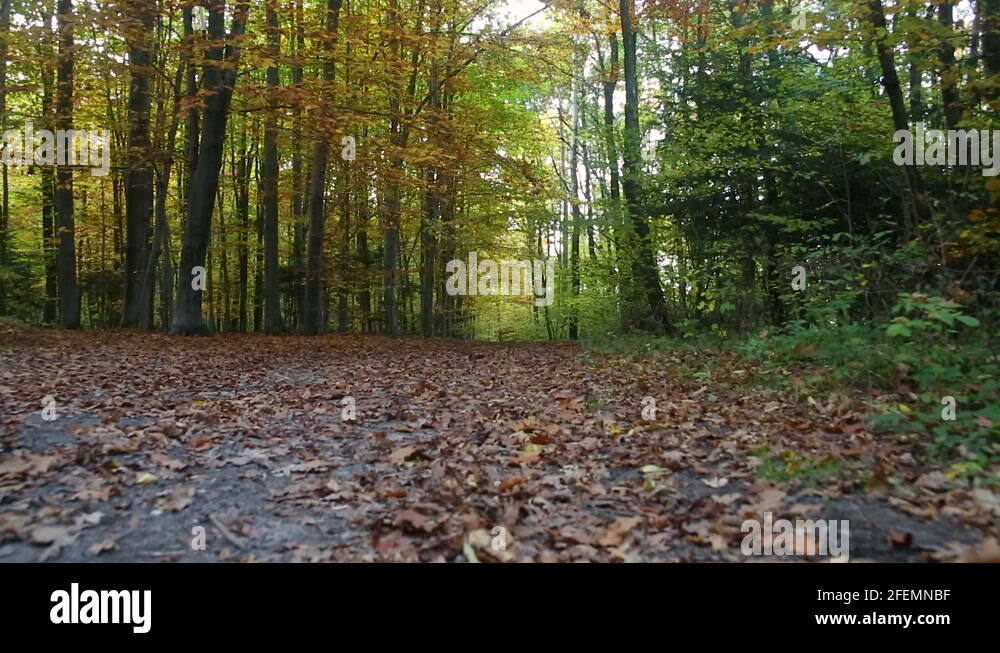 Panorama perspective Stock Videos & Footage - HD and 4K Video Clips - Alamy