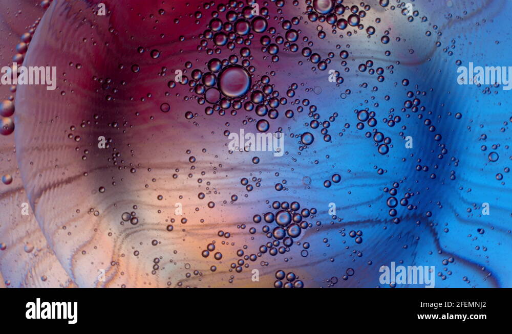 Life under a microscope Stock Videos & Footage - HD and 4K Video Clips ...