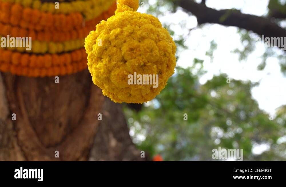 Ball of bells Stock Videos & Footage - HD and 4K Video Clips - Alamy