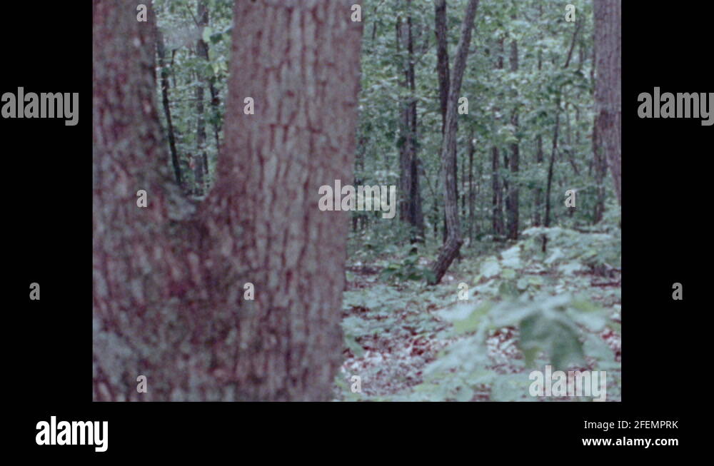 Cutting map Stock Videos & Footage - HD and 4K Video Clips - Alamy