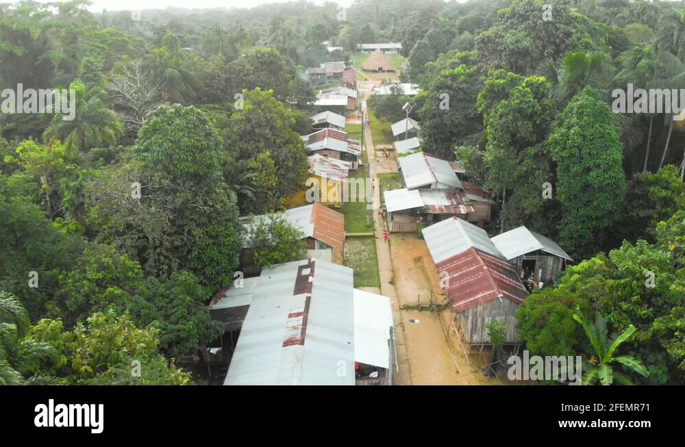 Native tree houses Stock Videos & Footage - HD and 4K Video Clips - Alamy
