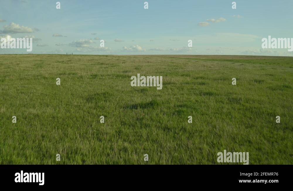 Fly capture Stock Videos & Footage - HD and 4K Video Clips - Alamy