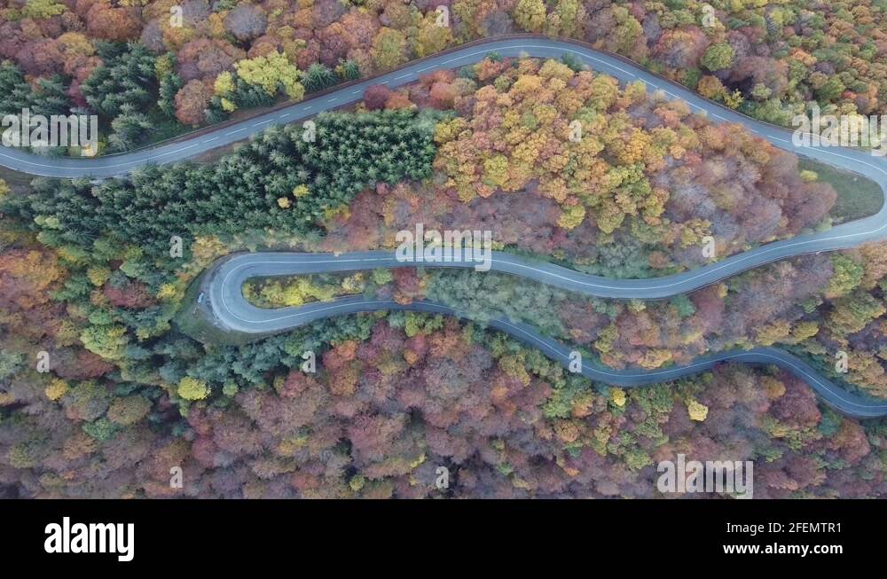 Tangled road Stock Videos & Footage - HD and 4K Video Clips - Alamy