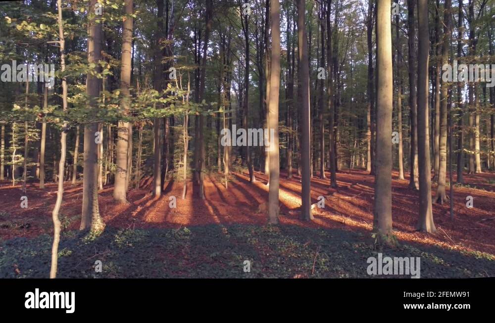 Floor rotation Stock Videos & Footage - HD and 4K Video Clips - Alamy