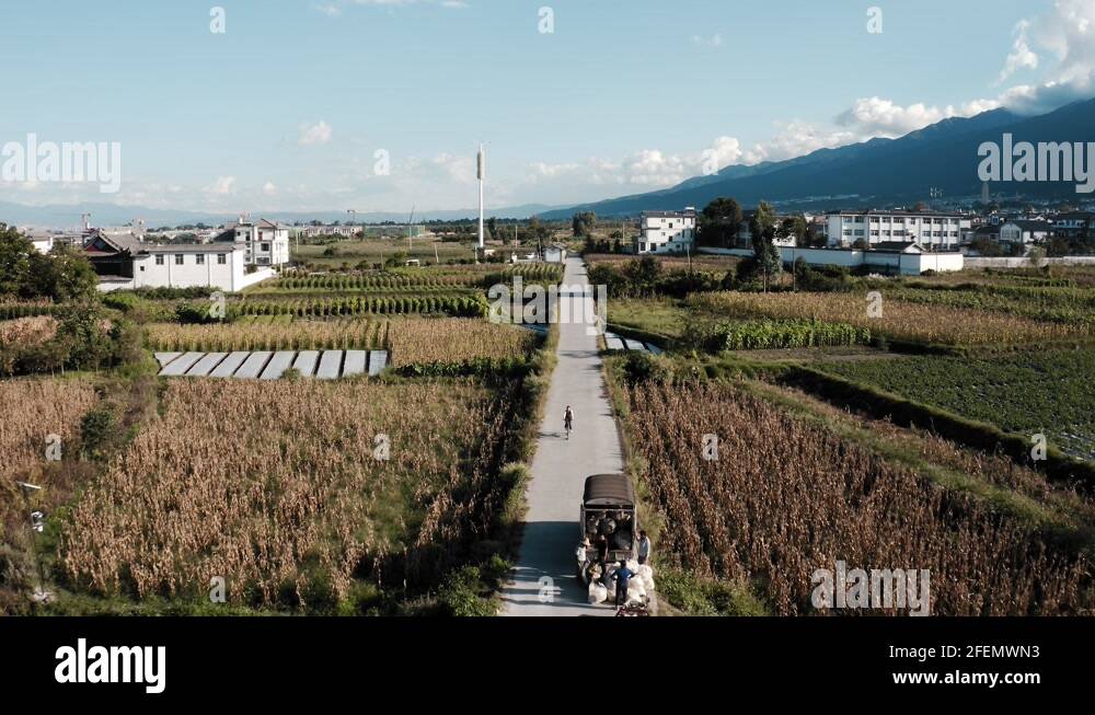 Chinese farm village Stock Videos & Footage - HD and 4K Video Clips - Alamy