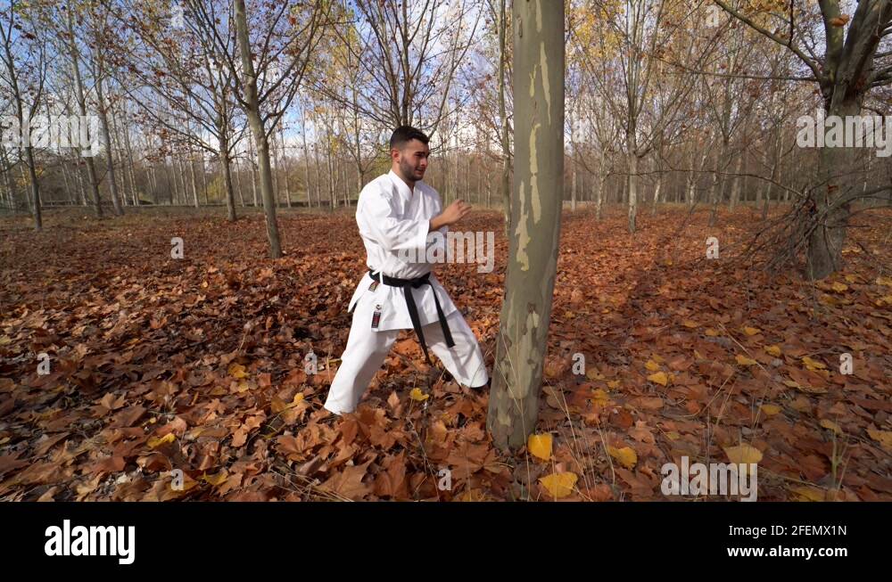 Tree beating Stock Videos & Footage - HD and 4K Video Clips - Alamy