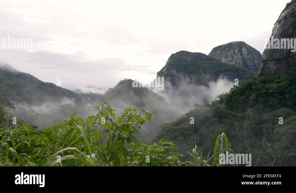 Amboro national park Stock Videos & Footage - HD and 4K Video Clips - Alamy