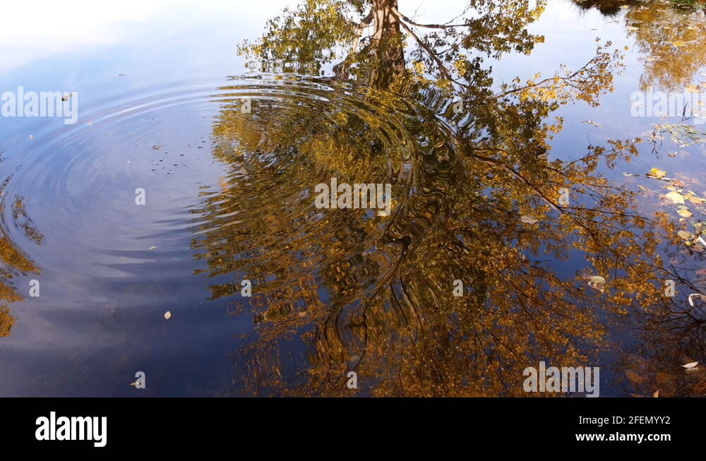 Throwing water into a lake Stock Videos & Footage - HD and 4K Video ...