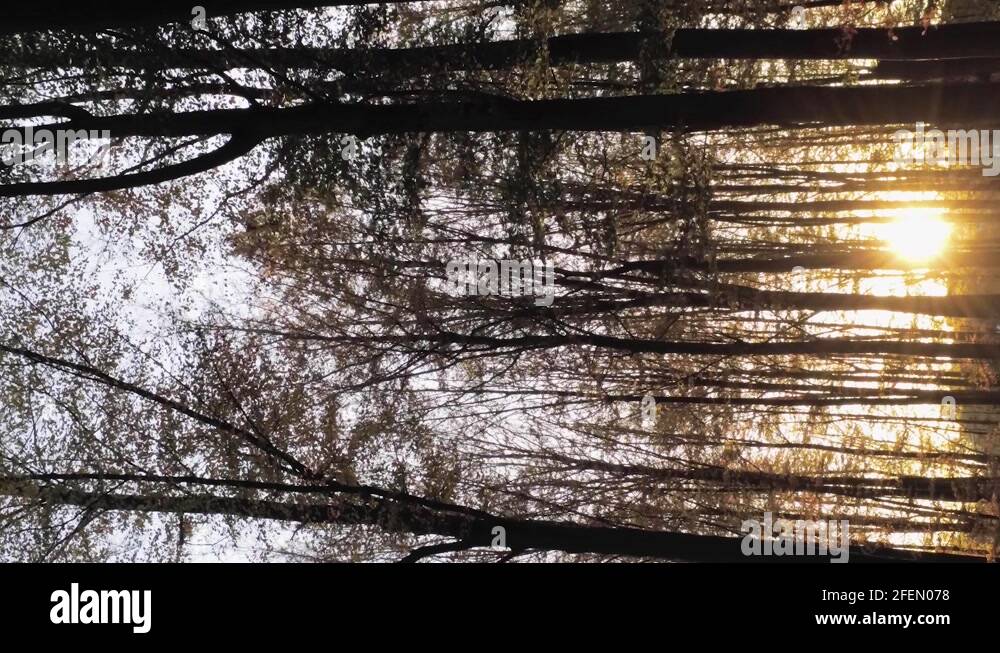 Tall vertical view Stock Videos & Footage - HD and 4K Video Clips - Alamy