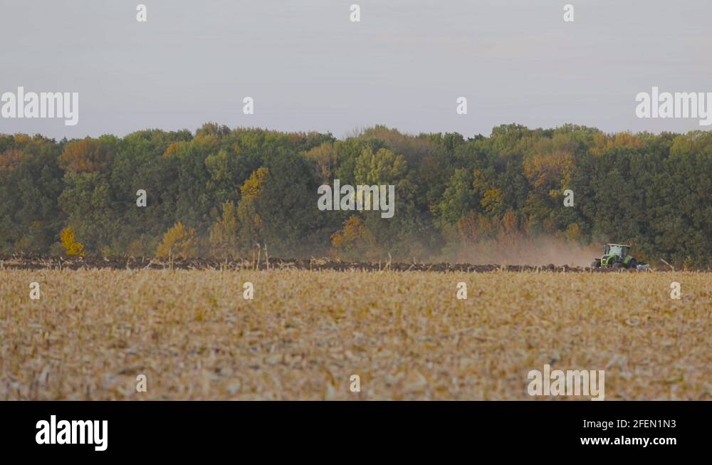Processing the field with a tractor. The tractor is processing the ...