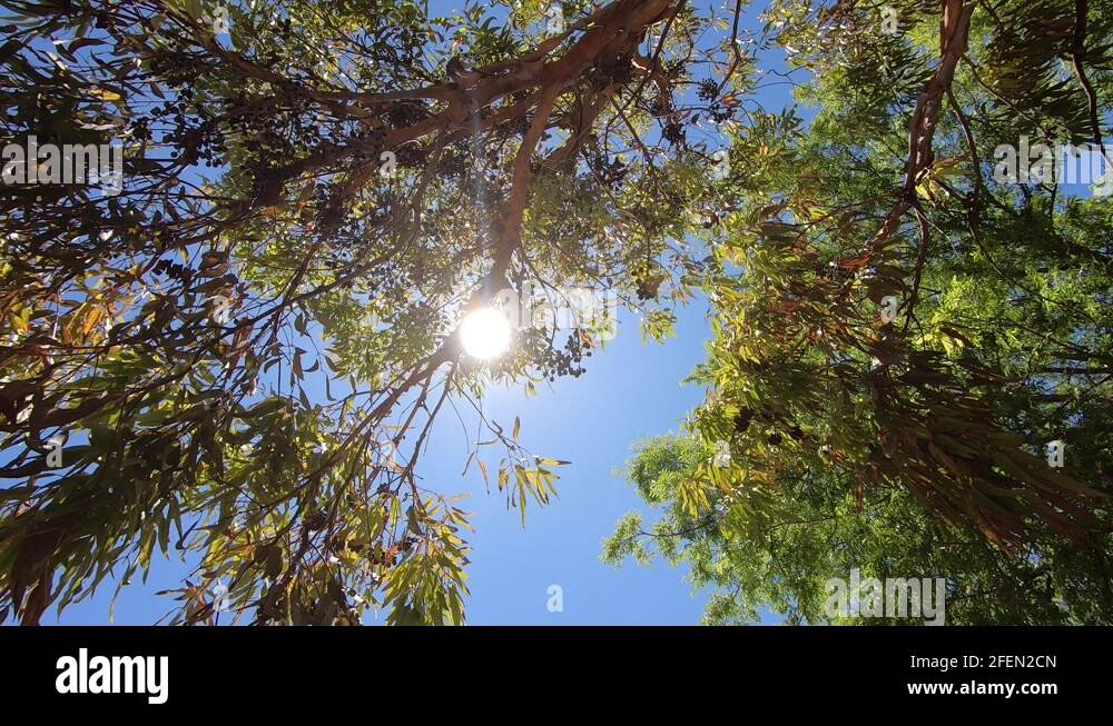 Sunlight streams Stock Videos & Footage - HD and 4K Video Clips - Alamy