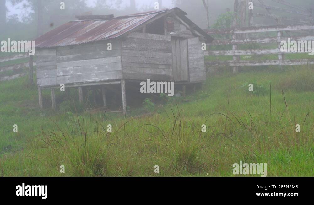 Shack in forest Stock Videos & Footage - HD and 4K Video Clips - Alamy