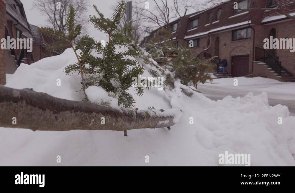 Christmas bank Stock Videos & Footage - HD and 4K Video Clips - Alamy