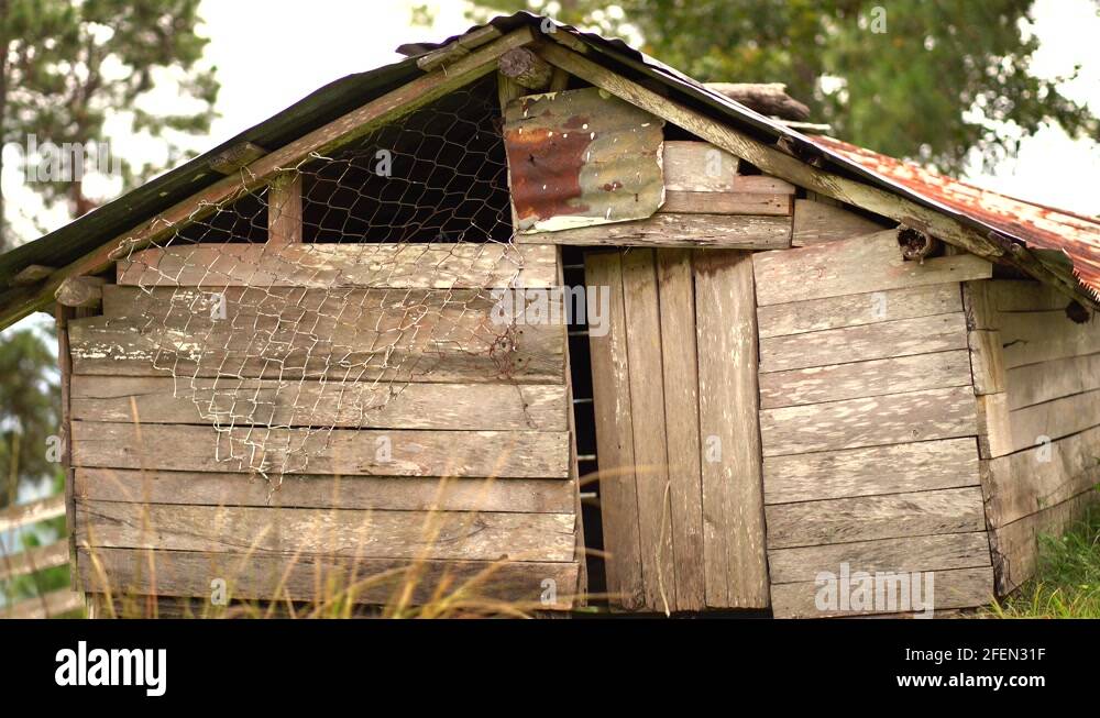 Old empty abandoned shack home Stock Videos & Footage - HD and 4K Video ...