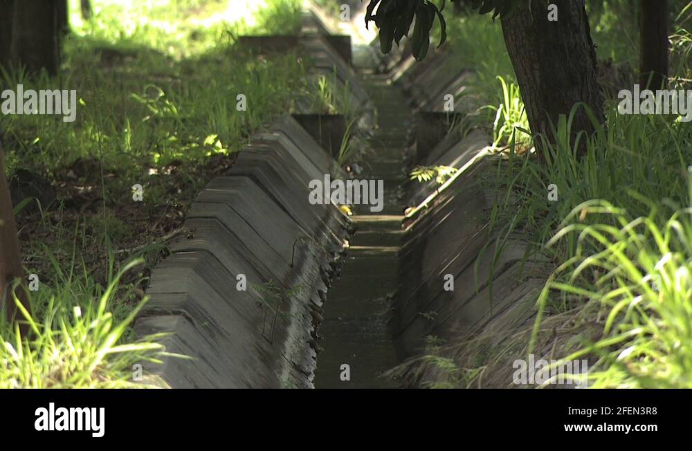 Irrigation method Stock Videos & Footage - HD and 4K Video Clips - Alamy