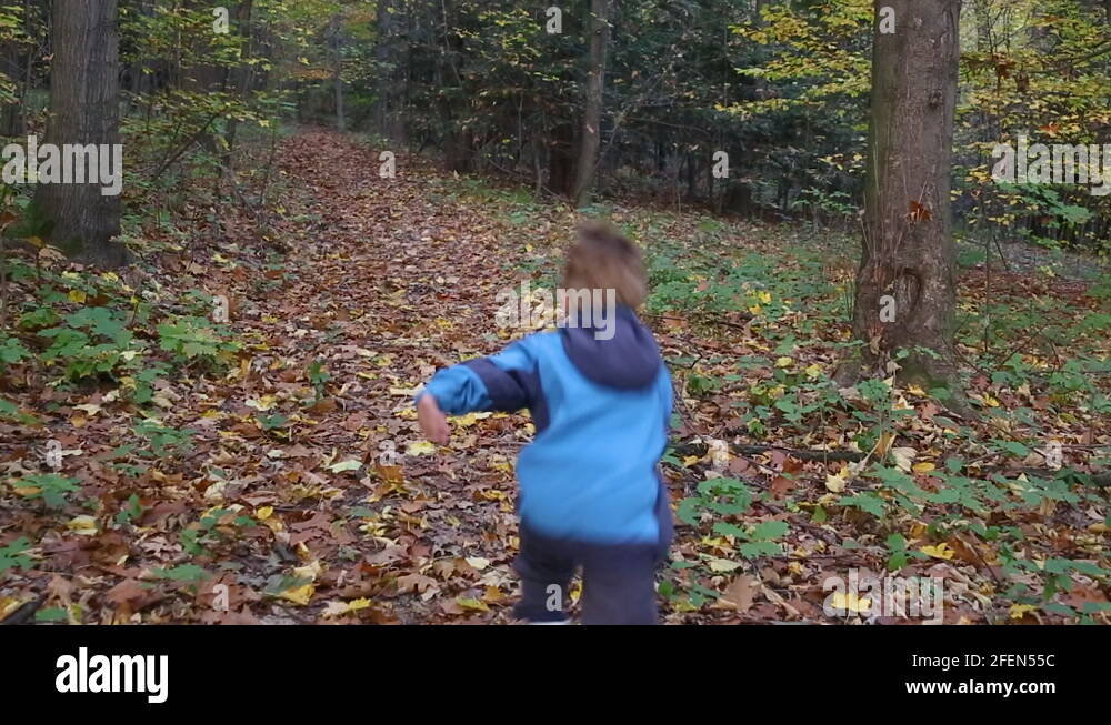 Boy child rear view Stock Videos & Footage - HD and 4K Video Clips - Alamy