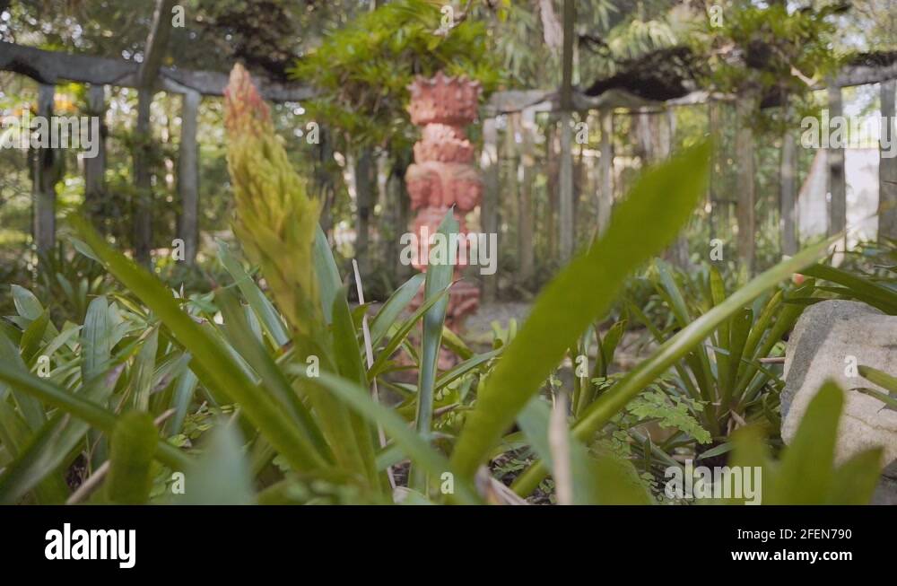 Botanist garden Stock Videos & Footage - HD and 4K Video Clips - Alamy