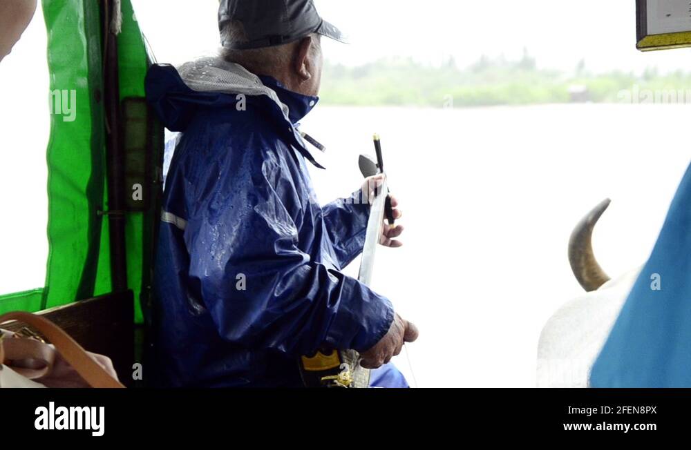 Old Okinawan man playing traditional biwa in Okinawa, Japan Stock Video ...