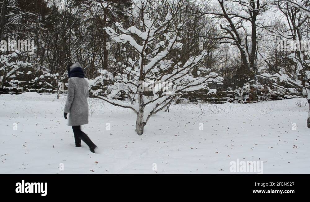 Winter branch garden Stock Videos & Footage - HD and 4K Video Clips - Alamy