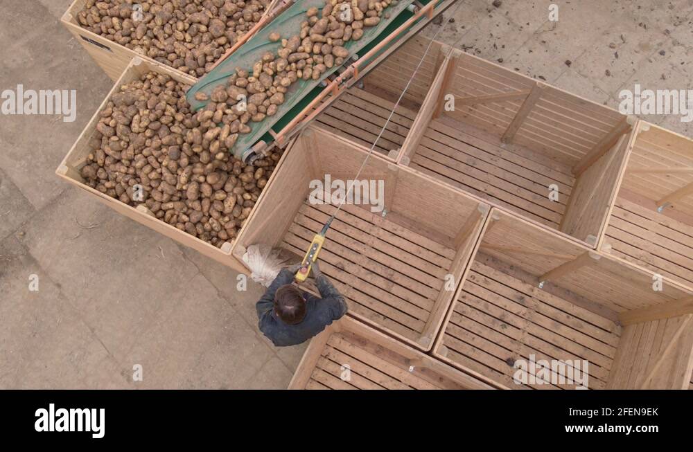 Potato harvest conveyor belt Stock Videos & Footage - HD and 4K Video ...