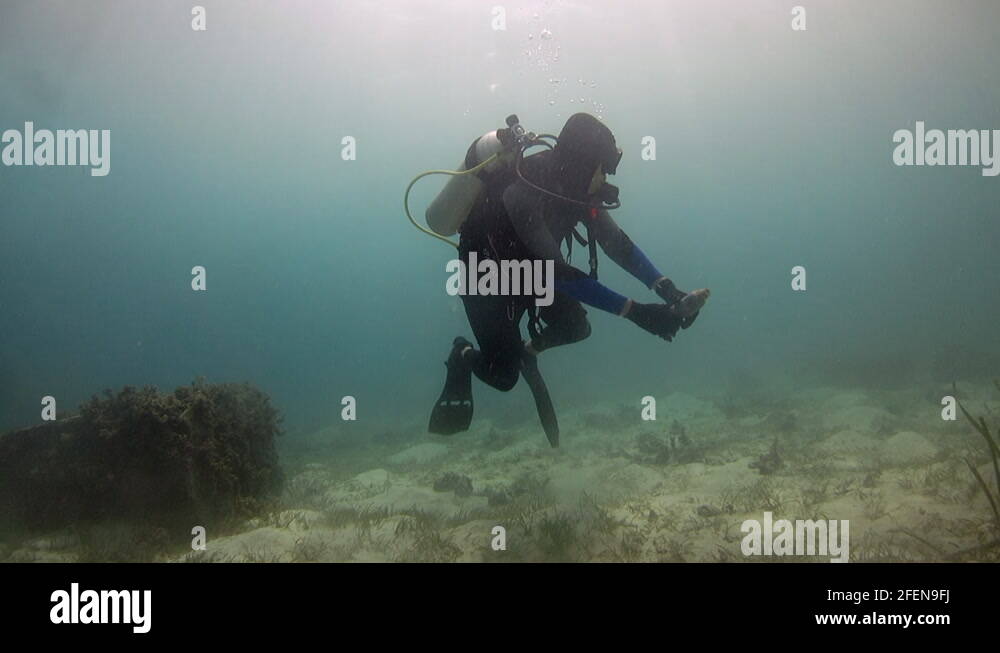 Scuba diver plastic pollution Stock Videos & Footage - HD and 4K Video ...