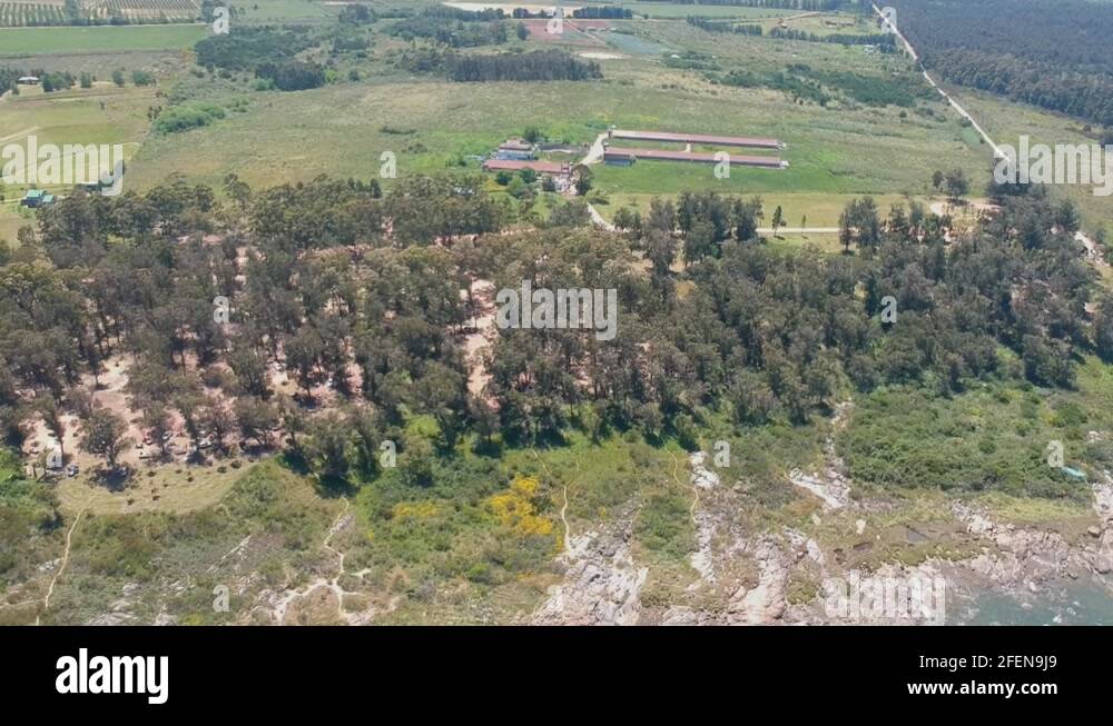 Green paint icon Stock Videos & Footage - HD and 4K Video Clips - Alamy