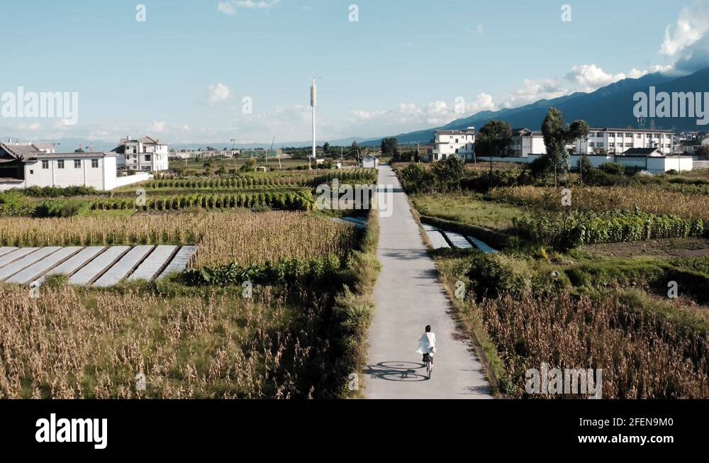 Chinese farming Stock Videos & Footage - HD and 4K Video Clips - Alamy