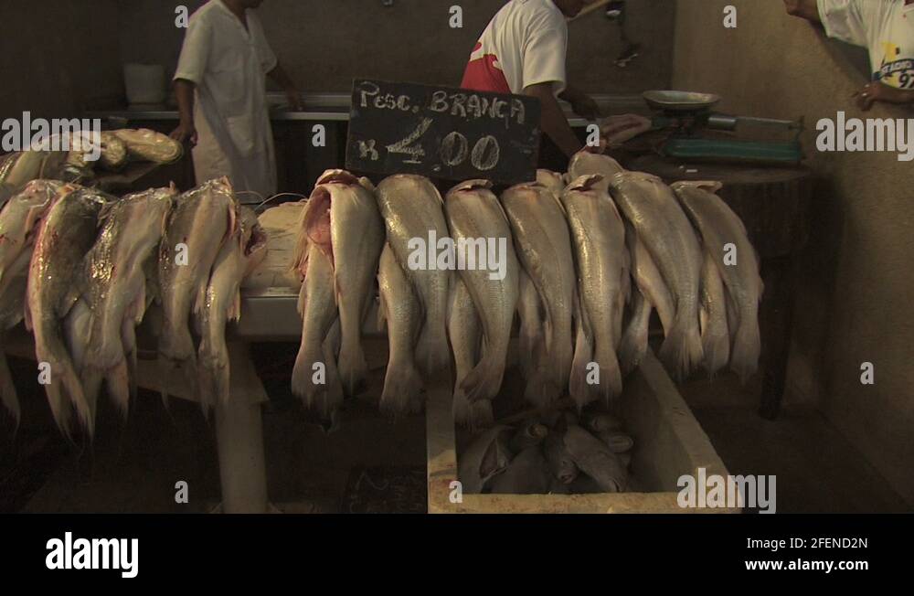 Brazilian fish market Stock Videos & Footage - HD and 4K Video Clips ...
