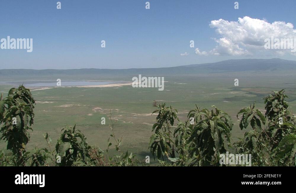 Ngorongoro crater and wildlife Stock Videos & Footage - HD and 4K Video ...
