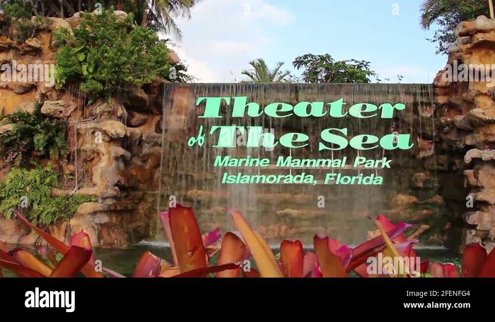 Theater of the sea Stock Videos & Footage - HD and 4K Video Clips - Alamy