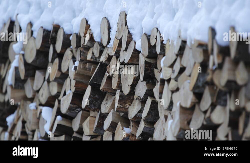 Timber reserve Stock Videos & Footage - HD and 4K Video Clips - Alamy